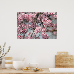 Cherry Blossom Tree Poster | Zazzle