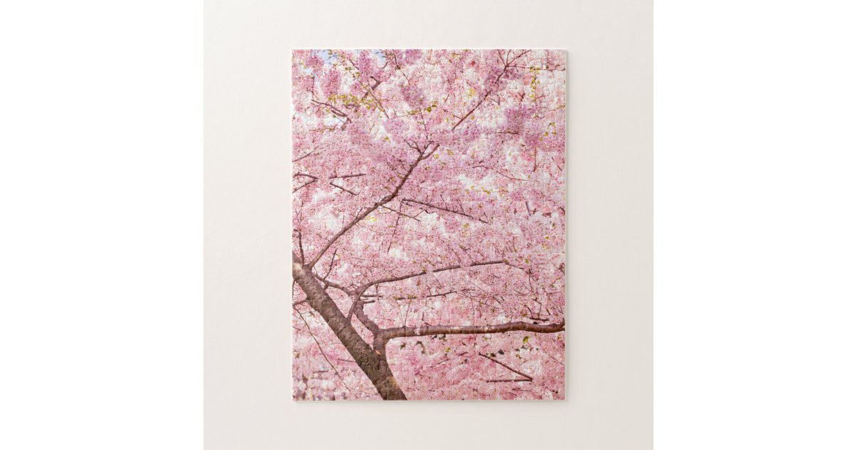 Cherry Blossom Trees Jigsaw Puzzle | Zazzle