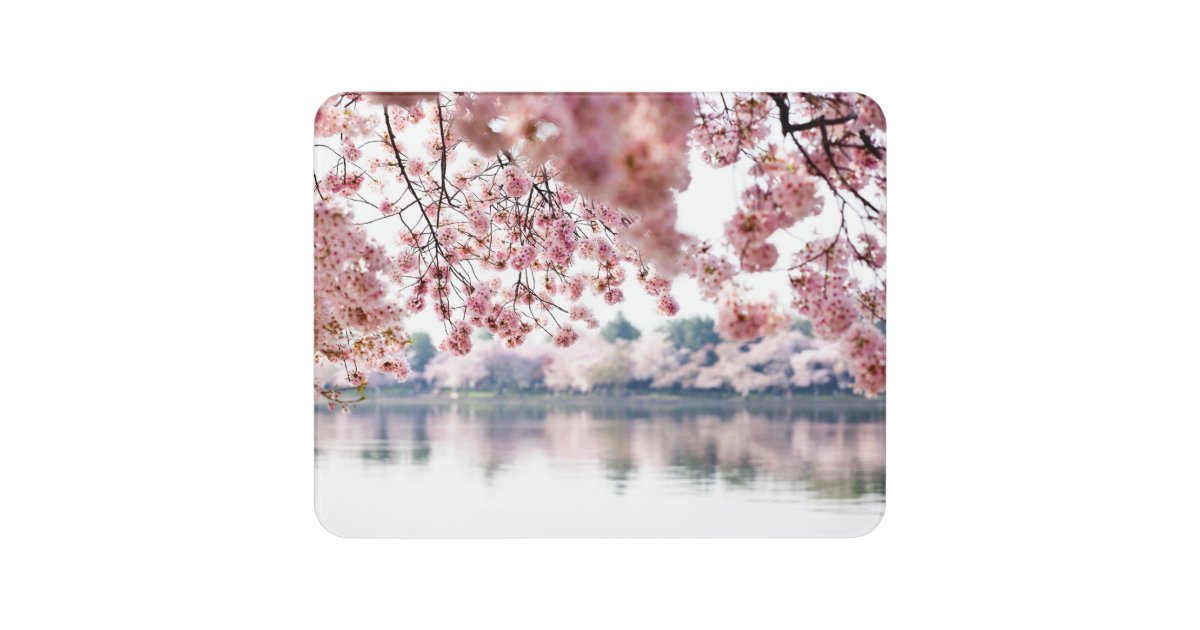 Cherry Blossoms Door Sign | Zazzle