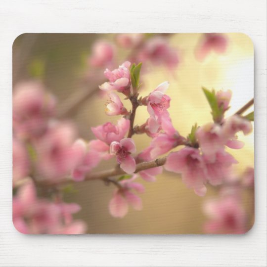 Cherry Blossoms Mouse Pad | Zazzle.com