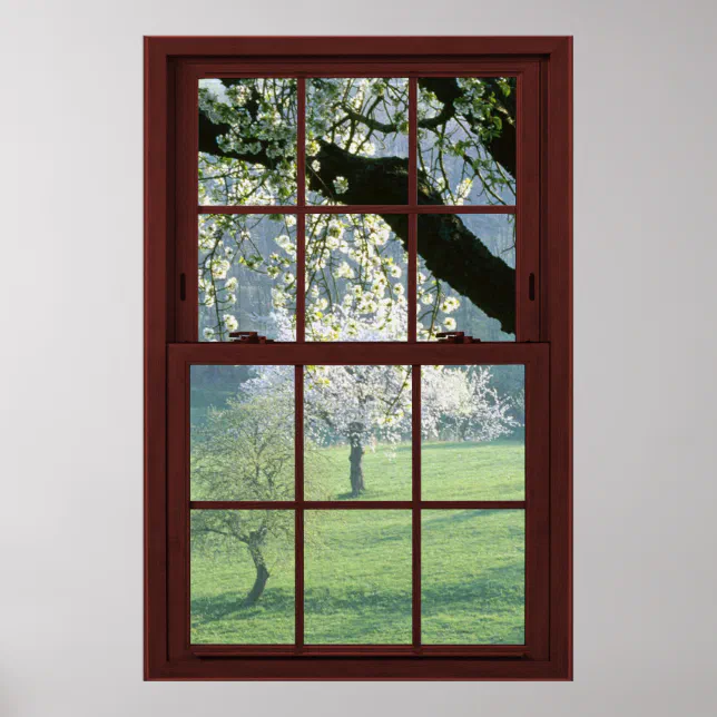 Cherry Blossoms Picture Window Illusion #2 of 3 Poster | Zazzle