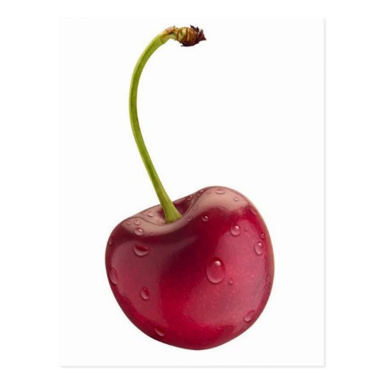 cherry postcard | Zazzle.com
