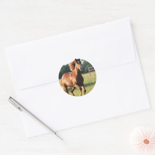Chestnut Galloping Horse Stickers | Zazzle