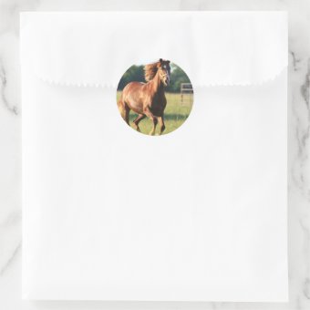 Chestnut Galloping Horse Stickers | Zazzle
