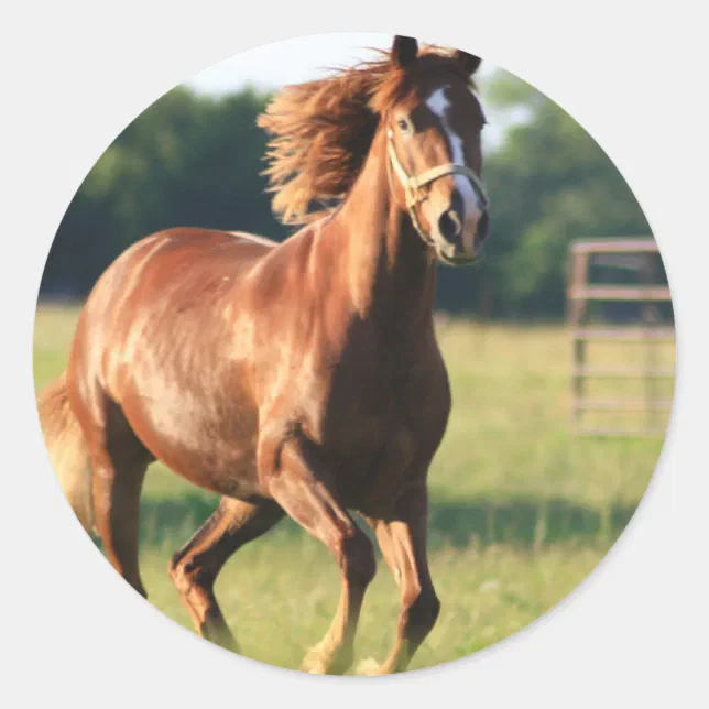 Chestnut Galloping Horse Stickers | Zazzle