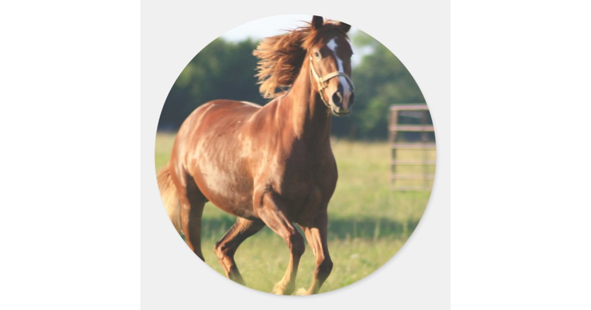 Chestnut Galloping Horse Stickers | Zazzle