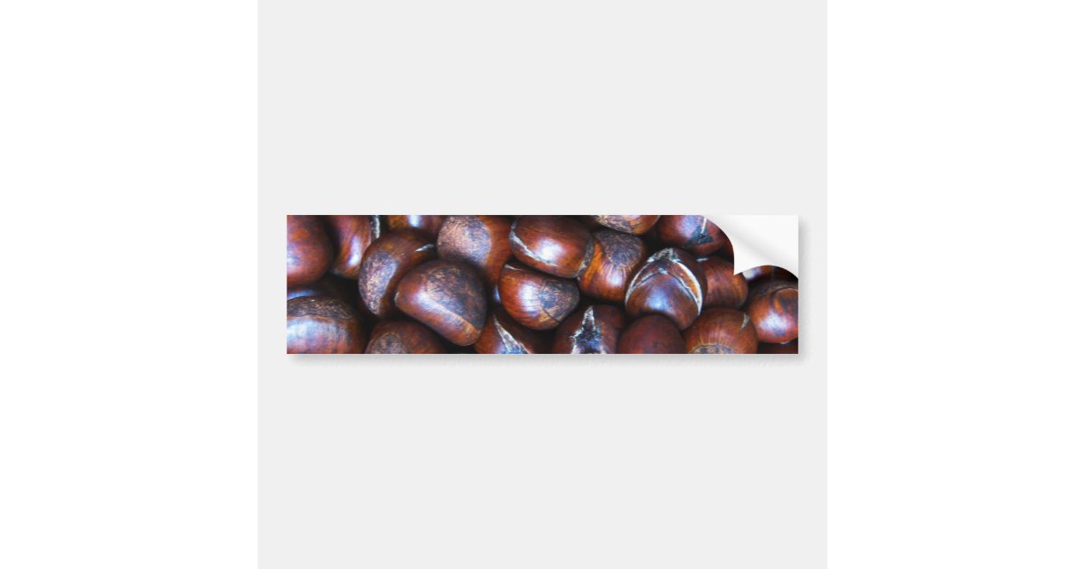 Chestnuts Bumper Sticker | Zazzle