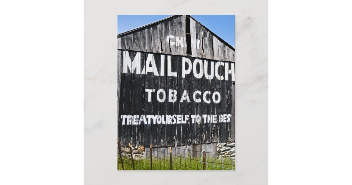 Chew Mail Pouch Tobacco Barn Postcard | Zazzle
