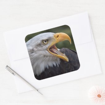 Cheyenne Sticker Zazzle