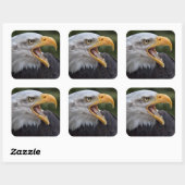 Cheyenne Sticker Zazzle