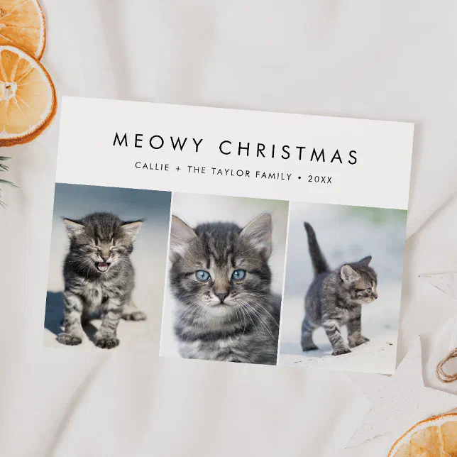 Chic Meowy Christmas New Cat Photo Family Holiday Card | Zazzle