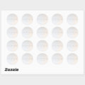 Chic Modern Minimalist Beauty Salon Classic Round Sticker | Zazzle