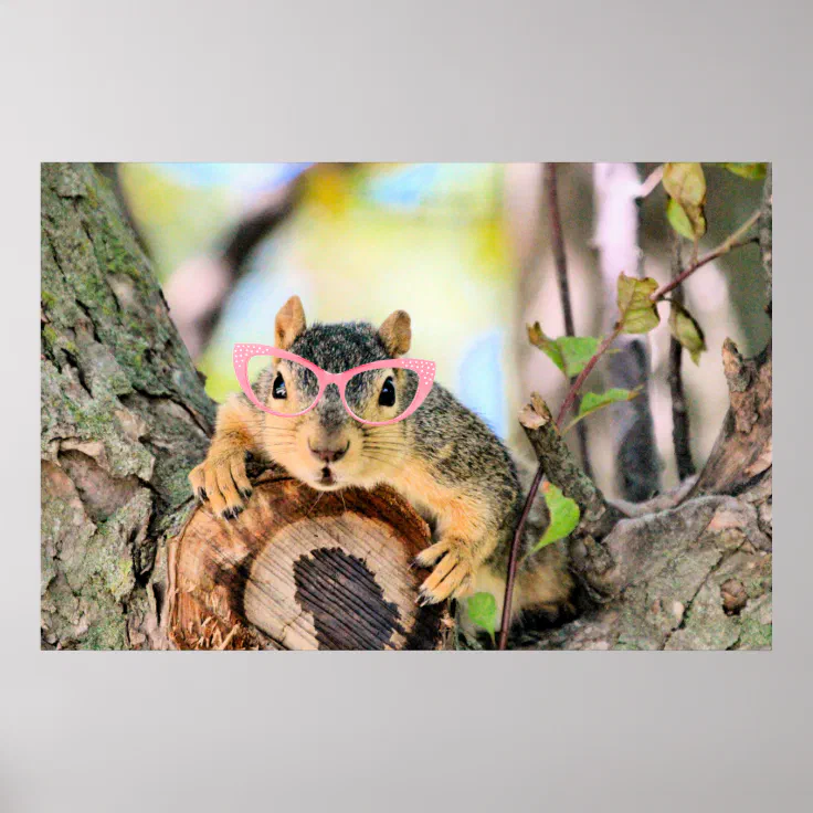 Chic squirrel poster | Zazzle