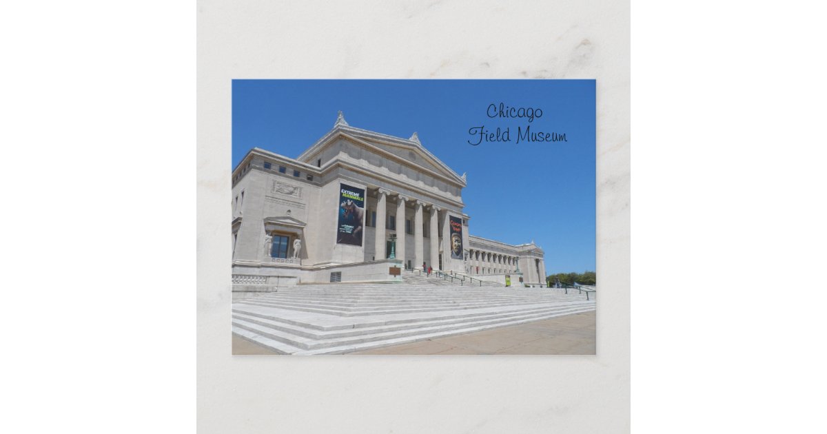 Chicago Field Museum Postcard | Zazzle