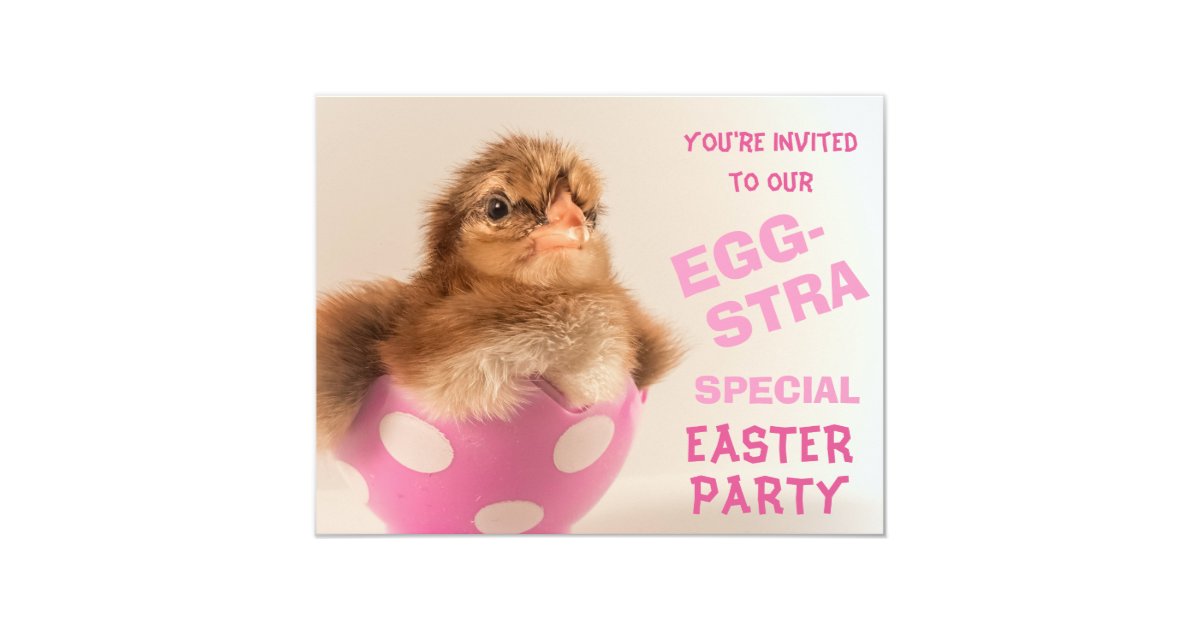 Chick in Egg Eggstra Special Easter Party Invitation | Zazzle.com