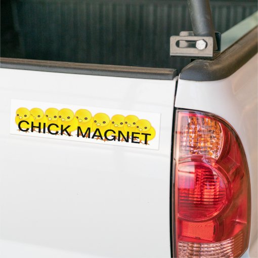 chick magnet bumper sticker | Zazzle