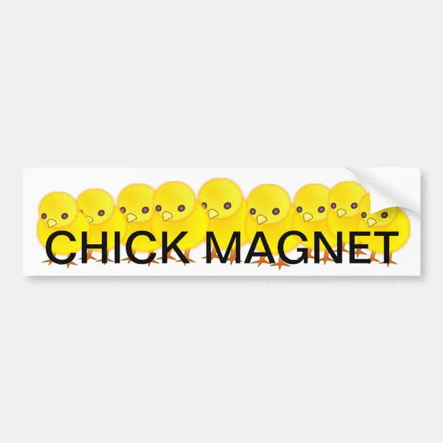 chick magnet bumper sticker | Zazzle