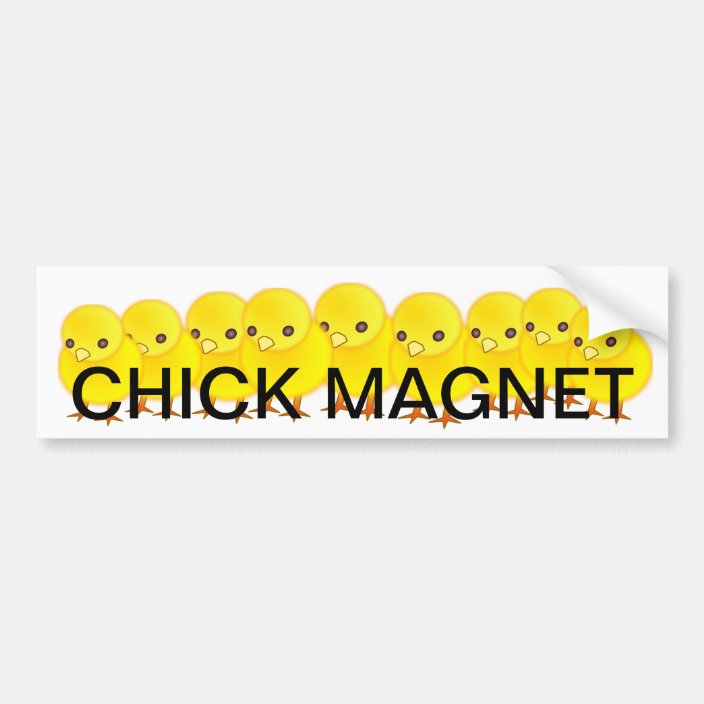 chick magnet bumper sticker | Zazzle.com