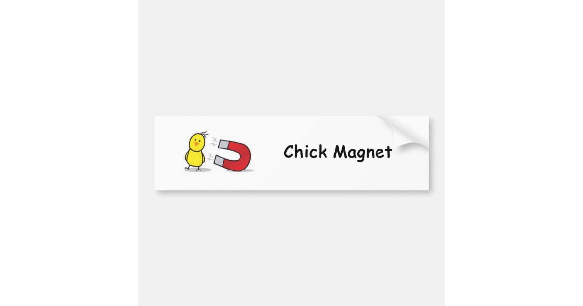 Chick Magnet Bumper Sticker | Zazzle
