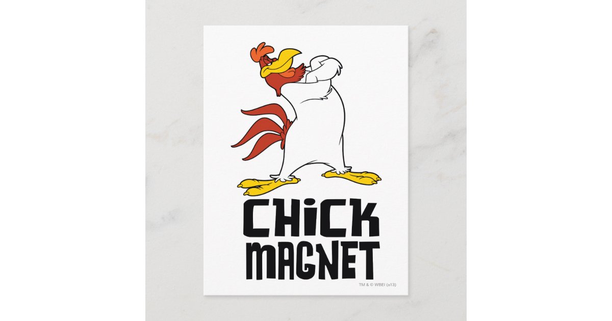 Chick Magnet Postcard | Zazzle