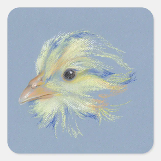 Chick Plymouth Barred Rock Square Sticker | Zazzle