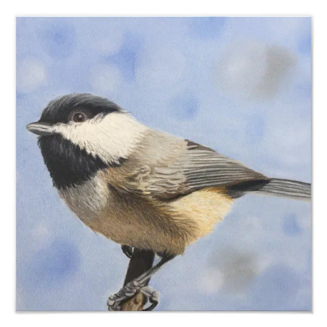 Chickadee dee dee photo print | Zazzle