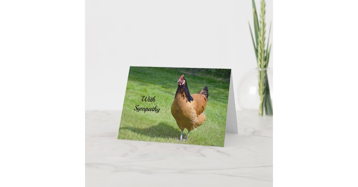 Chicken 3 Sympathy Card | Zazzle