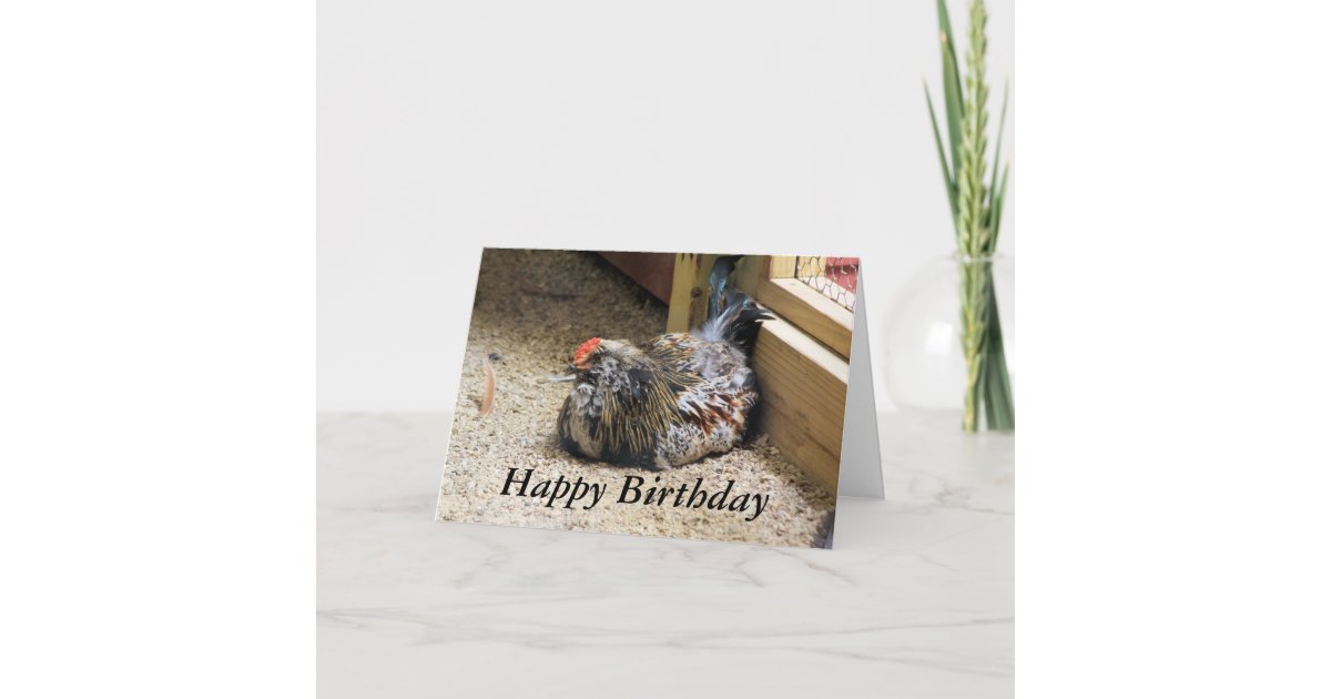 Chicken Birthday Card | Zazzle