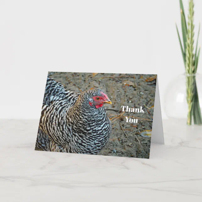 Chicken Black and White Hen Photo Thank You Card | Zazzle
