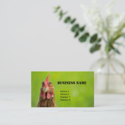 Chicken - Business Card | Zazzle