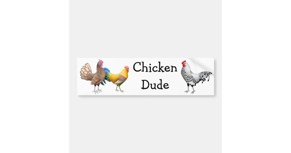 Chicken Dude Bumper Sticker | Zazzle