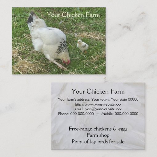 Chicken farm business card | Zazzle