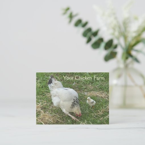 Chicken farm business card | Zazzle