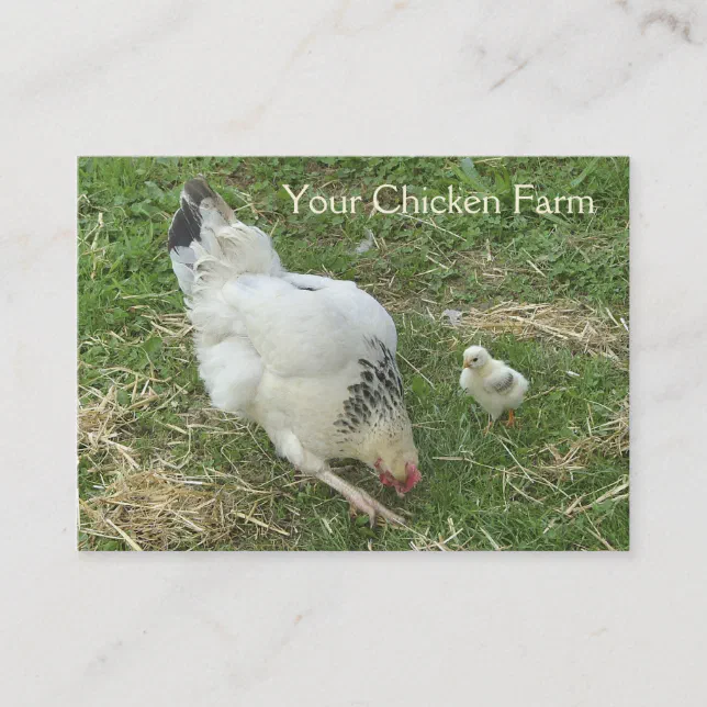 Chicken farm business card | Zazzle