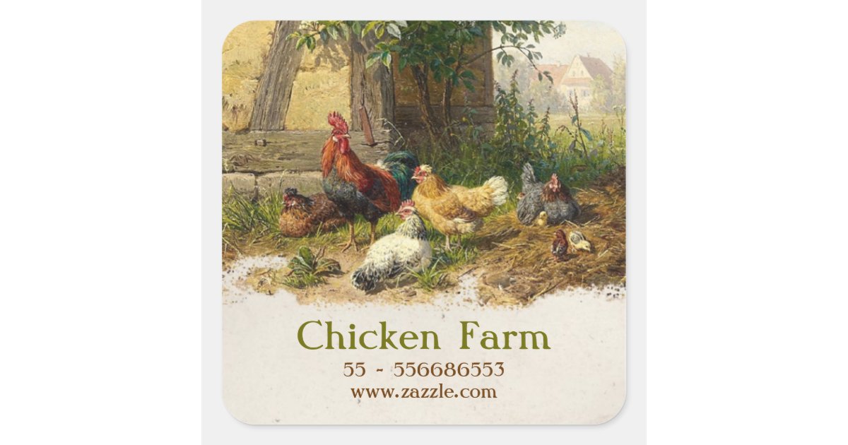 chicken farm sticker | Zazzle