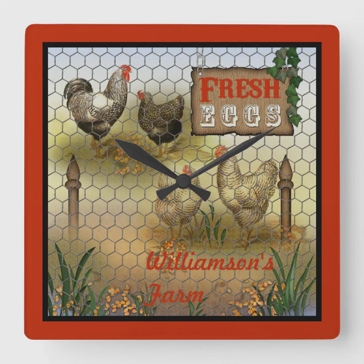 Chicken Farm Yard Fresh Eggs Vintage Square Wall Clock | Zazzle