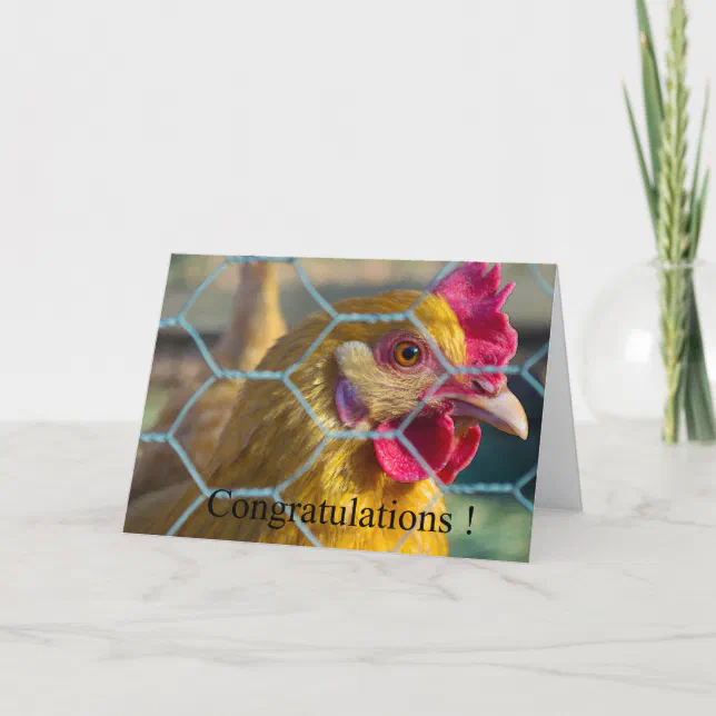 Chicken graduation card | Zazzle