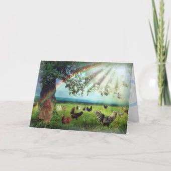 Chicken Heaven Sympathy Card | Zazzle