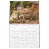 Chicken Hen Calendar | Zazzle