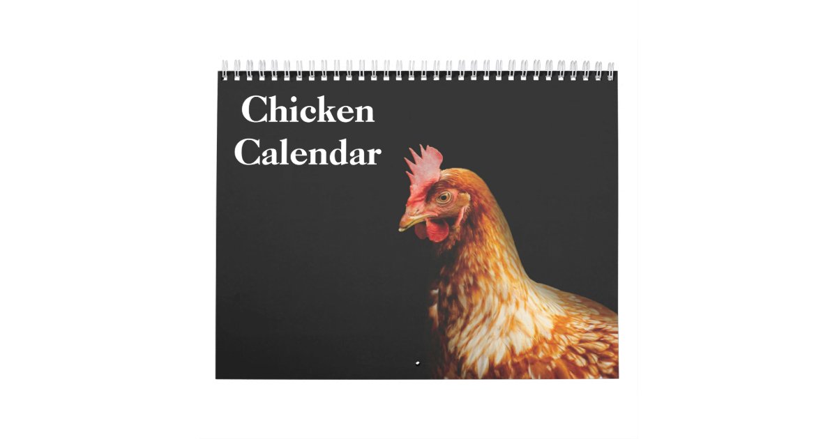 Chicken Hen Calendar | Zazzle