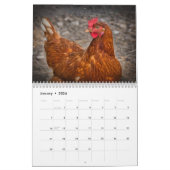 Chicken Hen Calendar | Zazzle