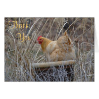 Chicken Thank You Cards - Greeting & Photo Cards | Zazzle