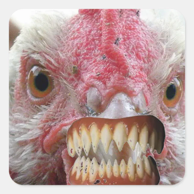 Chicken Lips, Chicken Teeth, DracaChicken Square Sticker | Zazzle
