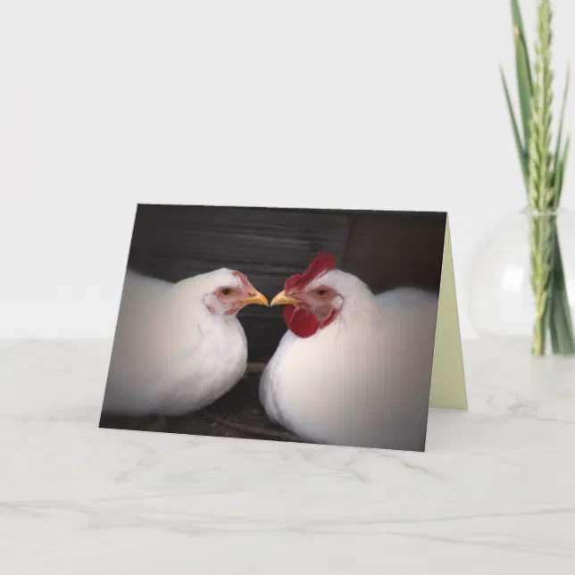 Chicken Love Card | Zazzle