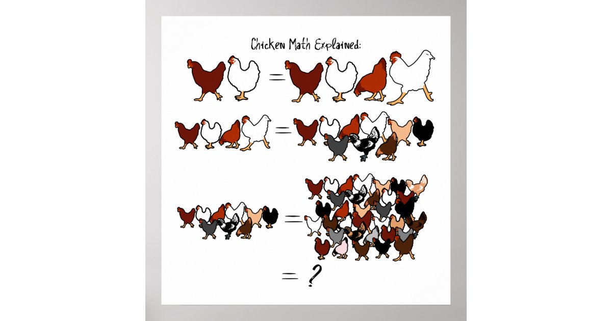 Chicken Math Poster | Zazzle