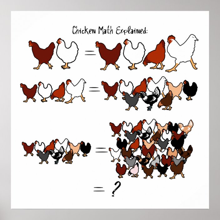 Chicken Math Poster | Zazzle.com
