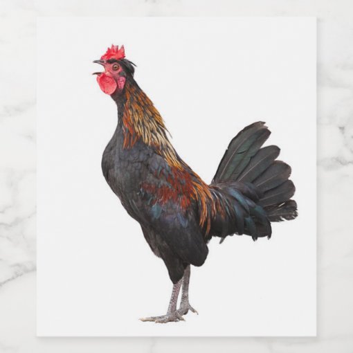 Chicken on White Wine Label | Zazzle