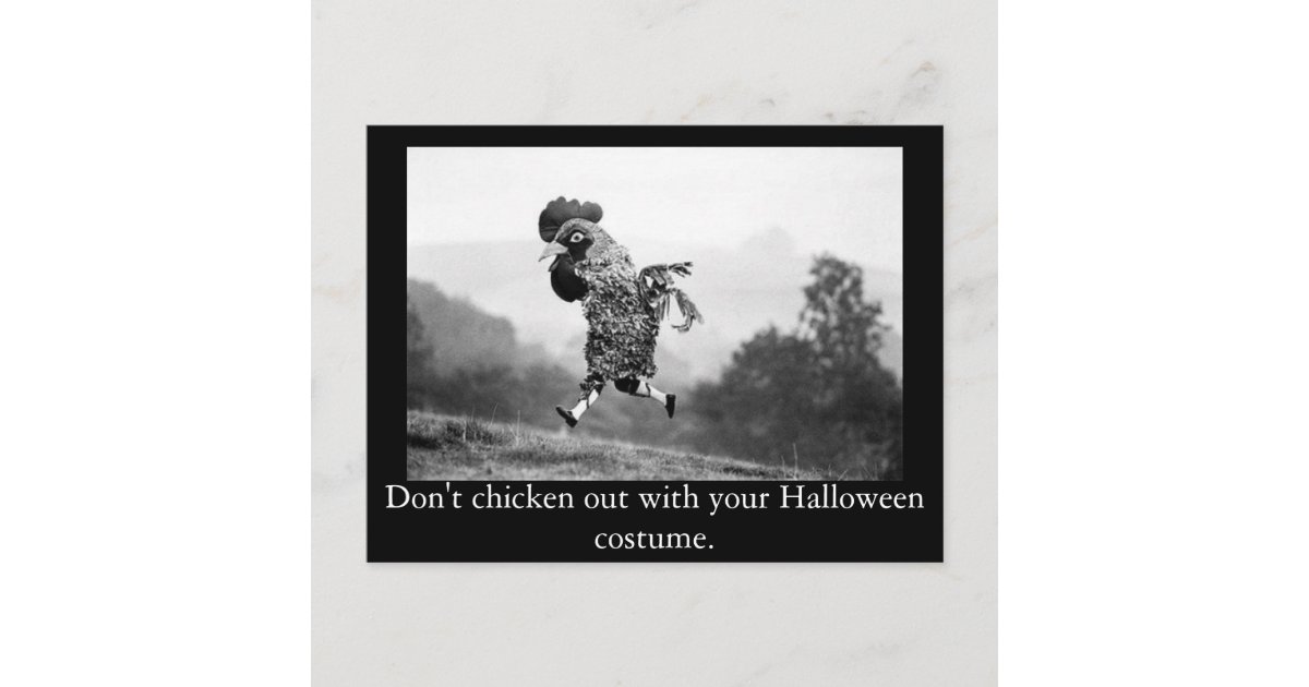 Chicken Out Halloween Postcard | Zazzle