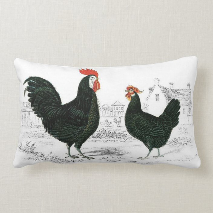 Chicken Pillow | Zazzle.com