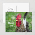 Chicken Rooster Photo Thank You Postcard | Zazzle